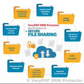 Secure Browser-Based Viewer for Protected PDF Files: Safeguard Web Viewer – VeryPDF DRM Protector