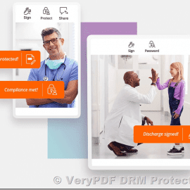 Secure Browser-Based Viewer for Protected PDF Files: Safeguard Web ...