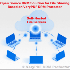 How to Share a PDF as a Link Securely: Best Practices and Security Considerations – VeryPDF DRM ...