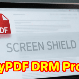 Secure Browser-Based Viewer for Protected PDF Files: Safeguard Web Viewer – VeryPDF DRM Protector