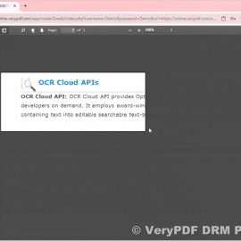 How to Protect a PDF File from Printing: Disabling Document Prints – VeryPDF DRM Protector