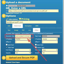 How to Share a PDF as a Link Securely: Best Practices and Security Considerations – VeryPDF DRM ...