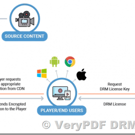 Secure Browser-Based Viewer for Protected PDF Files: Safeguard Web Viewer – VeryPDF DRM Protector