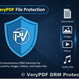 How to Share a PDF as a Link Securely: Best Practices and Security Considerations – VeryPDF DRM ...